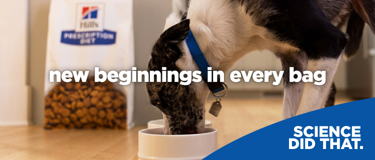 Hills® Prescription Diet® Dog Food | PetSmart