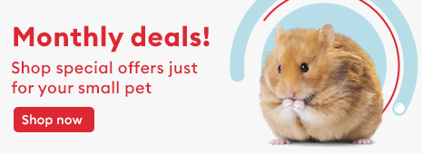 Small Pet Habitats: Hamster, Guinea Pig & Rabbit Cages | PetSmart