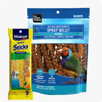 Bird Supplies for Parrots, Parakeets & More | PetSmart