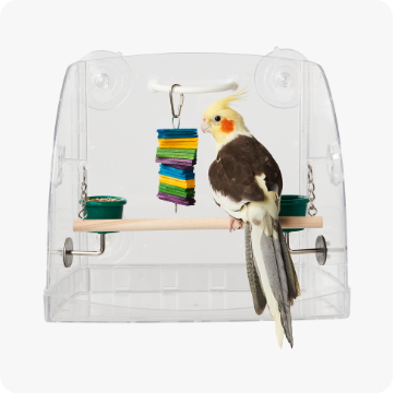 Bird Supplies for Parrots, Parakeets & More | PetSmart