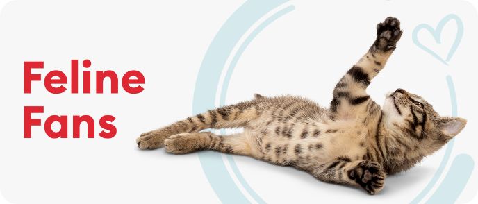 Featured Shops Fan Shop | PetSmart