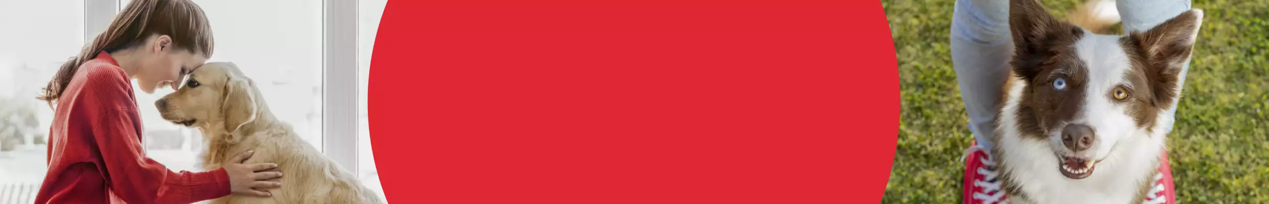 Dog Health - Dog Dewormers, Vitamins, Dental Care & More | PetSmart Canada