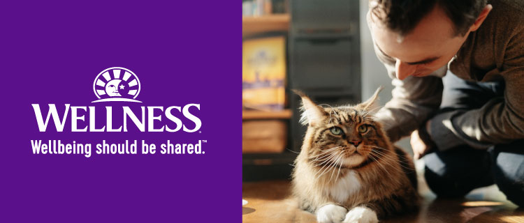 Wellness® Cat Food | PetSmart