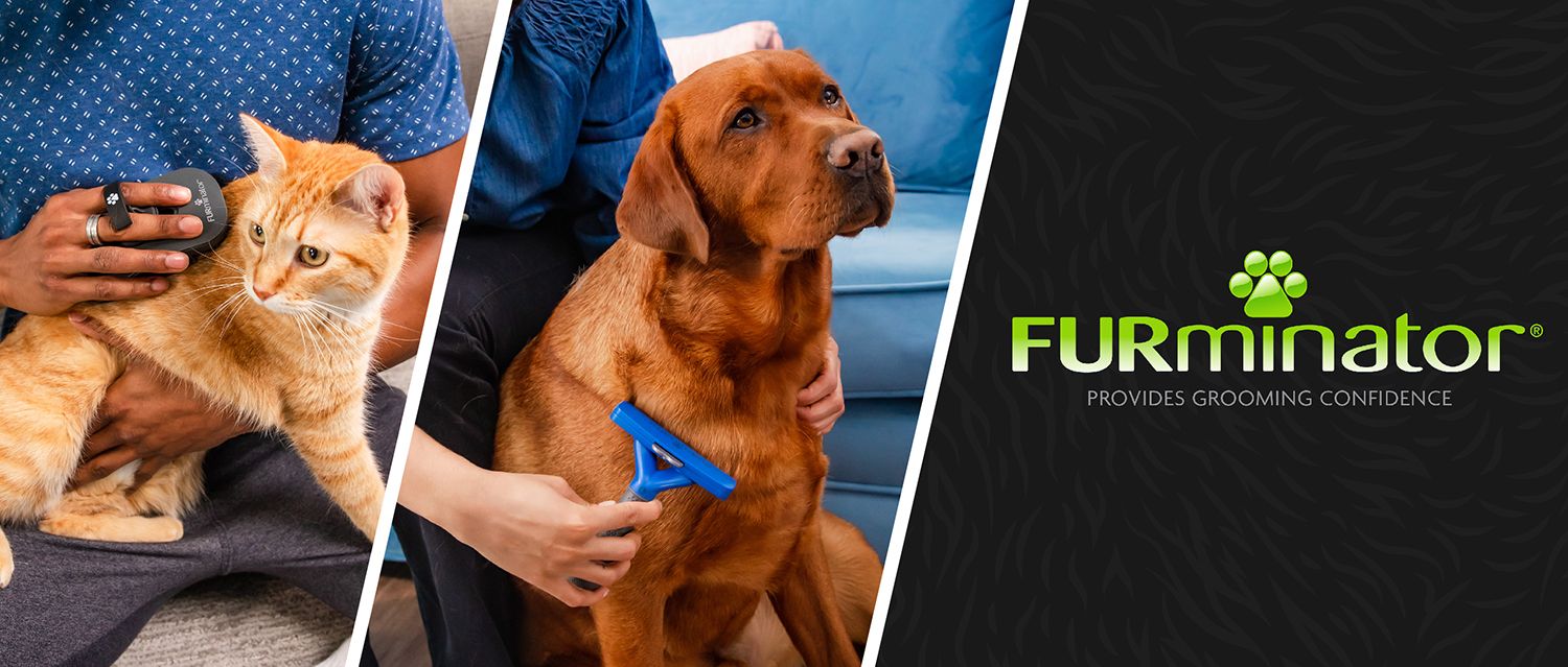 FURminator® Brushes & Grooming Products | PetSmart