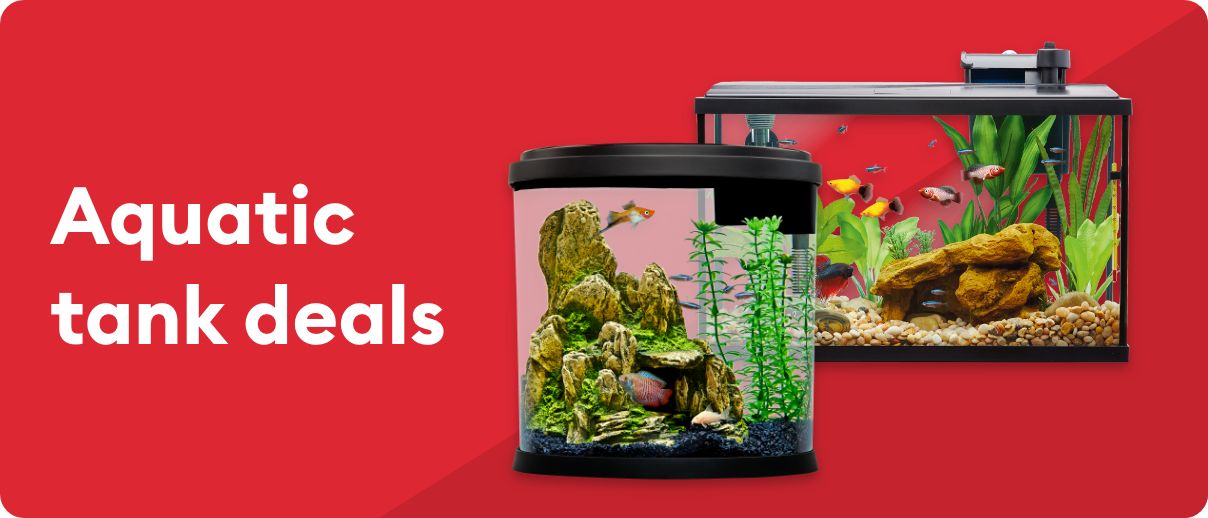 Pet Fish - Live Shrimp, Barb, Goldfish, Minnows, Betta & Cichlids ...