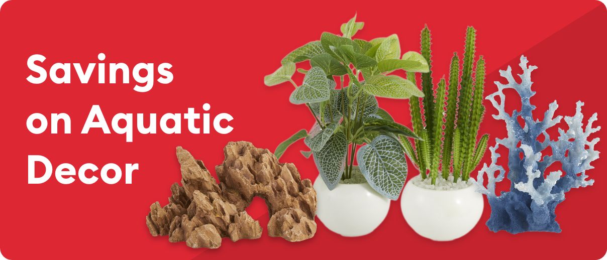 Pet Fish - Live Shrimp, Barb, Goldfish, Minnows, Betta & Cichlids ...