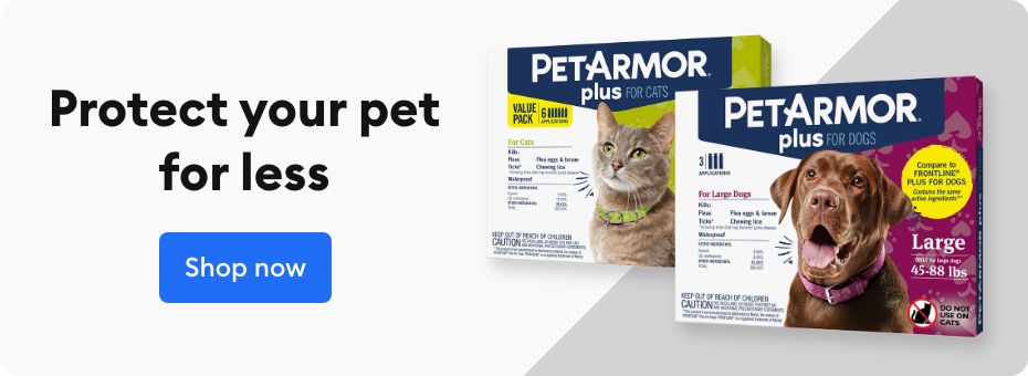 Red Tailed Shark | fish Goldfish, Betta & More | PetSmart