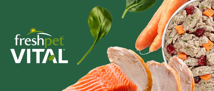 Freshpet® Dog Food & Cat Food | PetSmart Canada