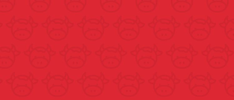 Farm Animal Cow | PetSmart