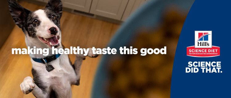 Hill's® Science Diet® Dog & Puppy Food - Formula Match Quiz | PetSmart