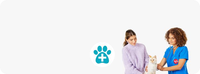 Cat Medication - Prescription Cat Medicine | PetSmart