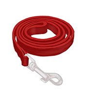 Dog Collars, Harnesses & Leashes | PetSmart