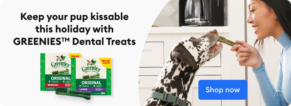 TagWorks® Blingz Collection Bone Personalized Pet ID Tag | dog ID Tags ...