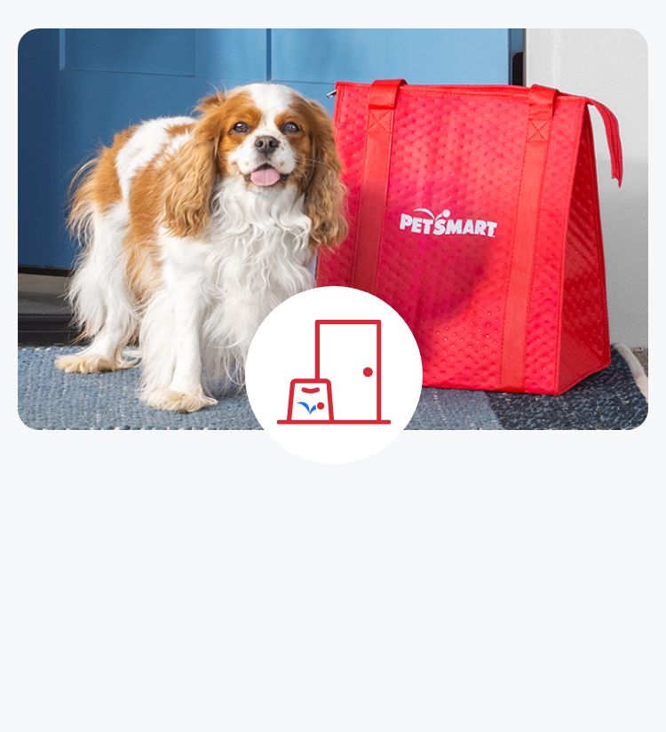 Same Day Delivery - Pet Food, Supplies, and Products | PetSmart Canada