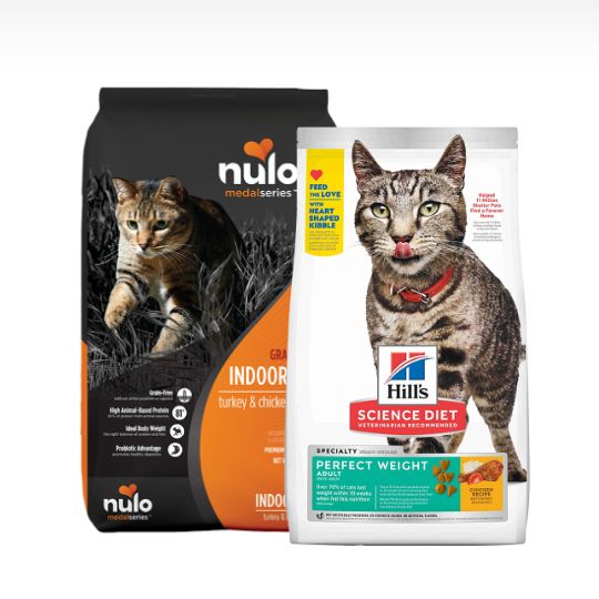 Pet Supplies, Accessories, and Pet Food - Pet Stores | PetSmart