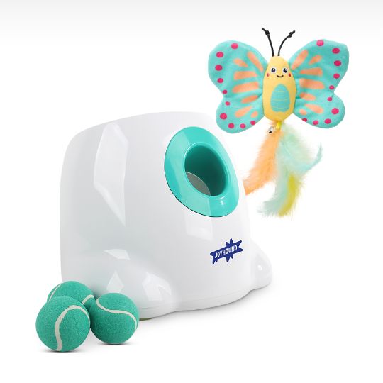 Pet Supplies, Accessories, and Pet Food - Pet Stores | PetSmart