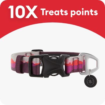 Dog Collars, Harnesses & Leashes | PetSmart