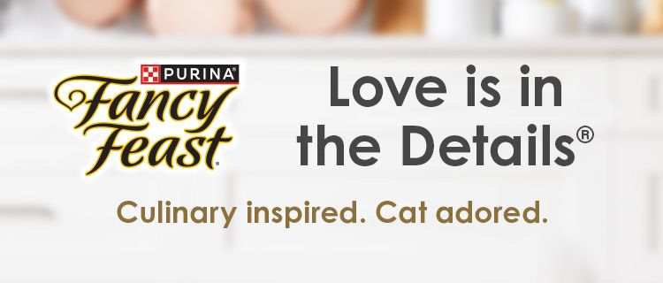 Fancy Feast® Cat Food, Kitten Food & Treats | PetSmart