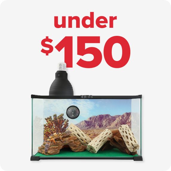 Pet Reptiles for Sale: Snakes, Geckos, Turtles & More | PetSmart Canada