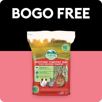 Hay For Small Pets - Hamster & Rabbit Hay & More | PetSmart
