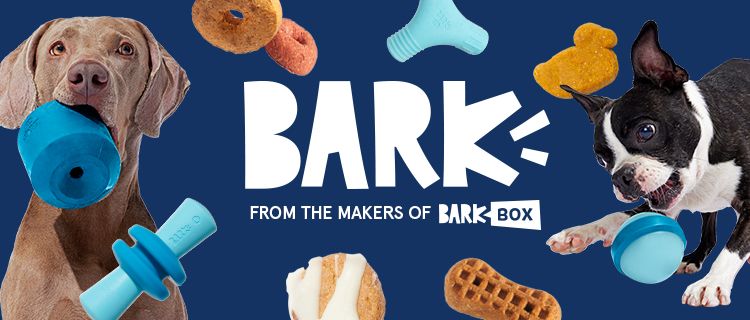 Bark Box Dog Toys & Treats | PetSmart