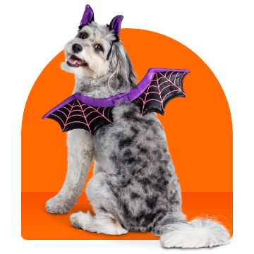 Featured Shops Halloween | PetSmart Canada
