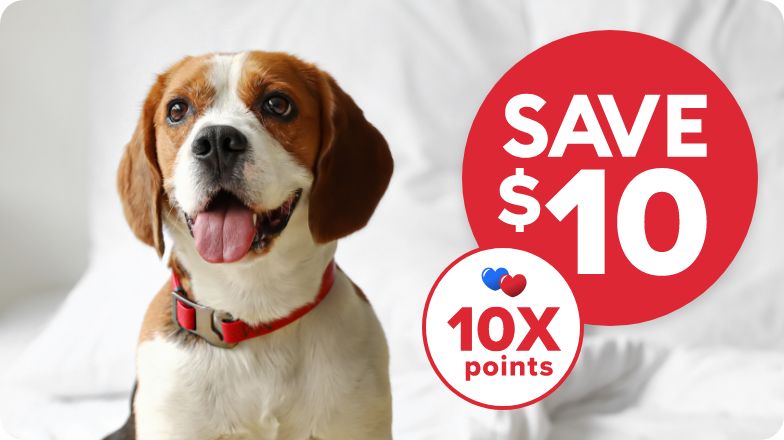 Dog Collars - Shop Collars, Harnesses, & Leashes | PetSmart