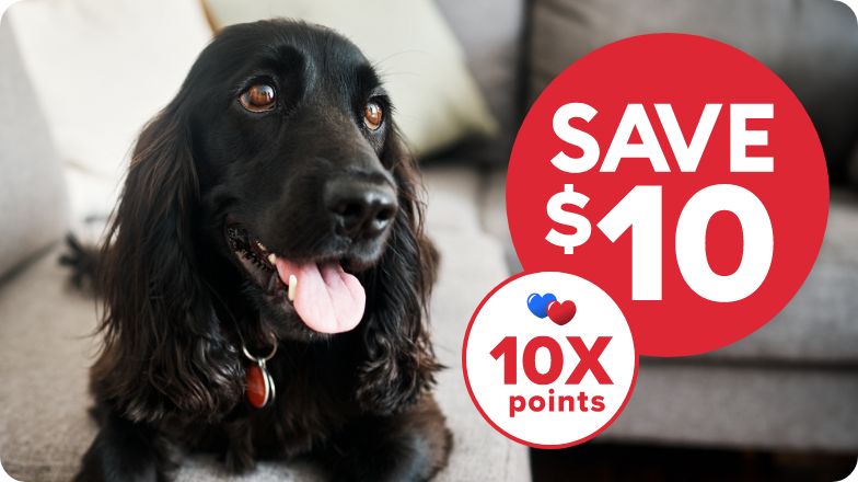 Dog ID Tags - Silicone, Plastic, Steel & More | PetSmart