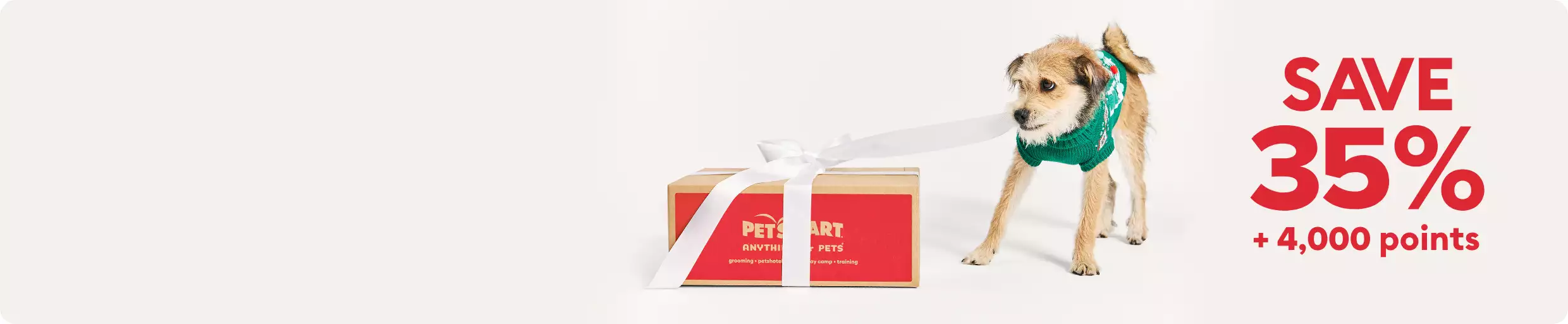 Pet Food Delivery: Subscribe & Save on Cat & Dog Food | PetSmart