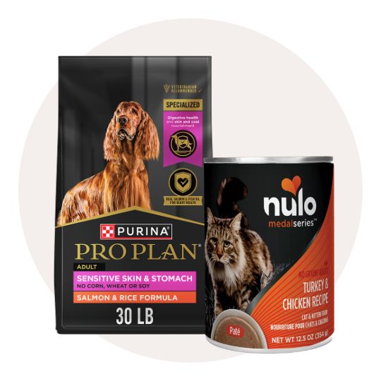 Pet Supplies, Accessories, and Pet Food - Pet Stores | PetSmart