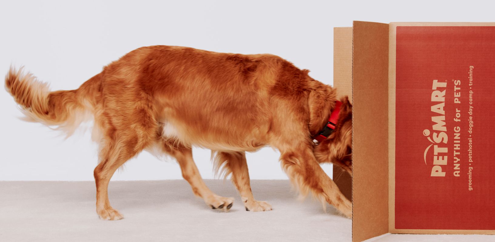 Pet Supplies, Accessories, and Pet Food - Pet Stores | PetSmart