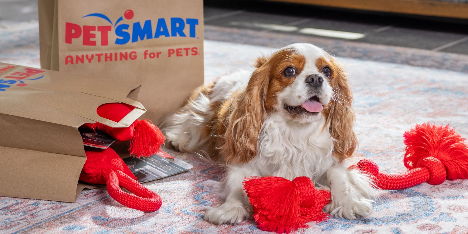 Pet Supplies, Accessories, and Pet Food - Pet Stores | PetSmart