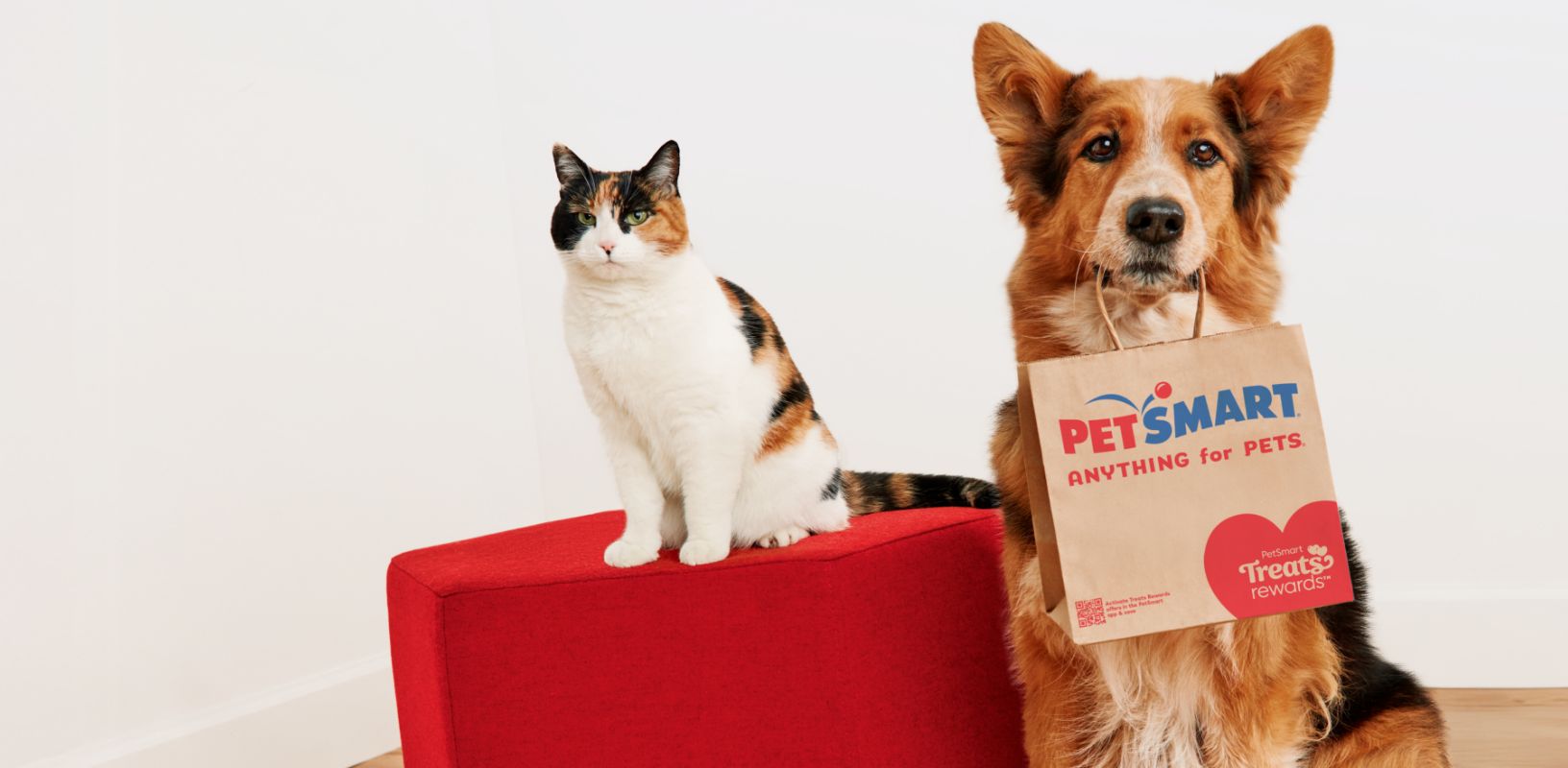 Pet Supplies, Accessories, and Pet Food - Pet Stores | PetSmart