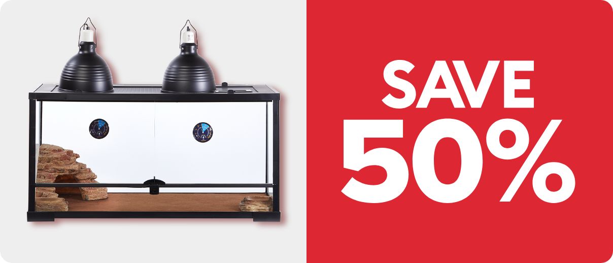 Reptile Starter Kits For Bearded Dragons, Turtles, Snakes & More | PetSmart