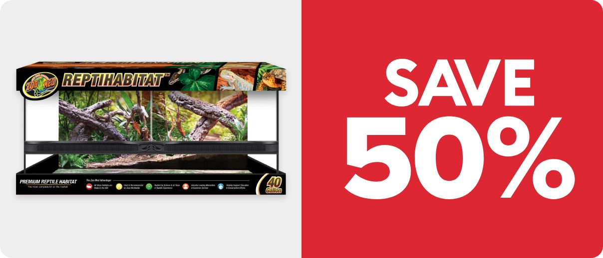 Terrarium Decor: Branches, Rocks, & Caves | PetSmart