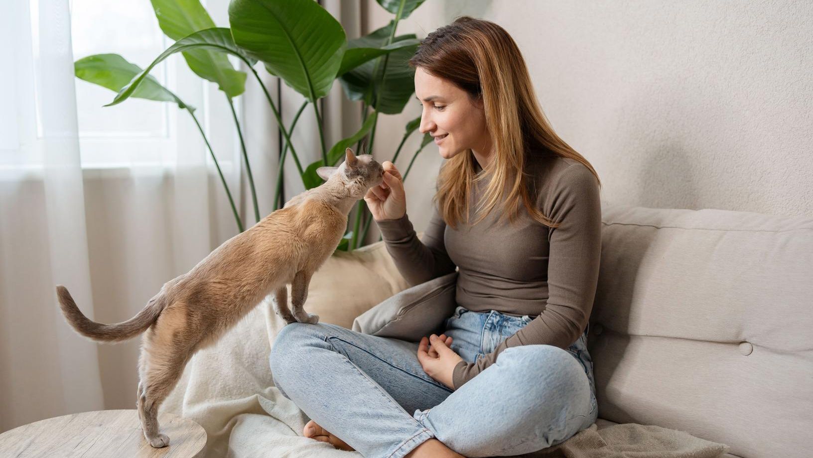 Pet Supplies, Accessories, and Pet Food - Pet Stores | PetSmart