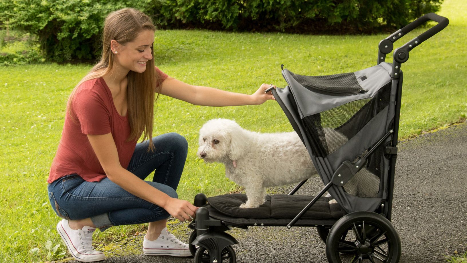 Pet Supplies, Accessories, and Pet Food - Pet Stores | PetSmart