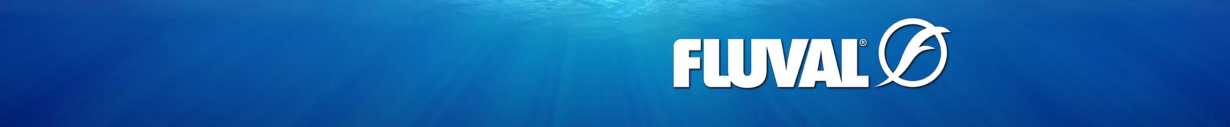 Aquariums & Fish Tanks for Pet Fish | PetSmart Canada