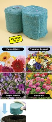 Flower Rocket - Outdoor Functional - Garden and Tools - Starcrest