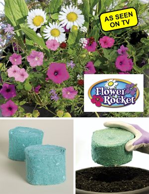 Flower Rocket - Set of 2 Rolls - Garden & Pest Control - Outdoors ...
