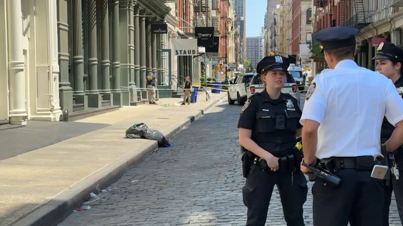Popular sneaker reseller killed in SoHo, police say