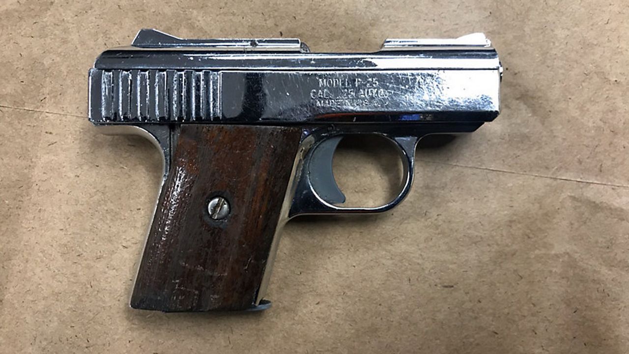 Two Teen Boys at Mount Dora High Arrested After Cops Quickly Find Gun