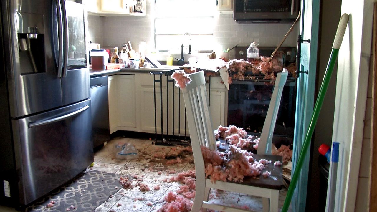 Firefighter’s Orlando Home Catches on Fire on New Year's Day