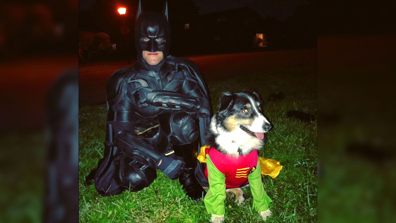 Central Florida Superhero Transports Pets from Shelters