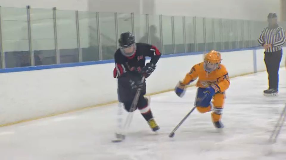 Rochester Empire State Cup Hockey Tournament