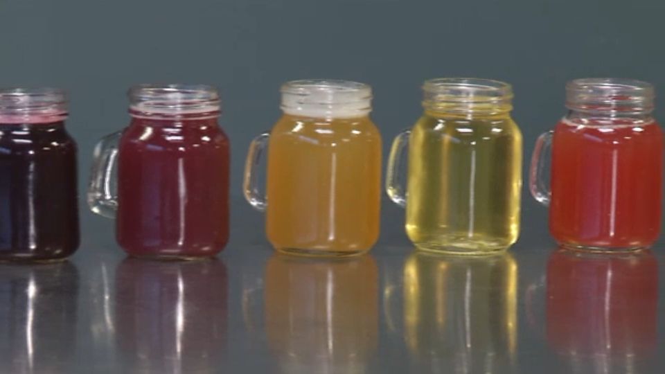 Bootleg Bucha Buffalo Brewery Kombucha