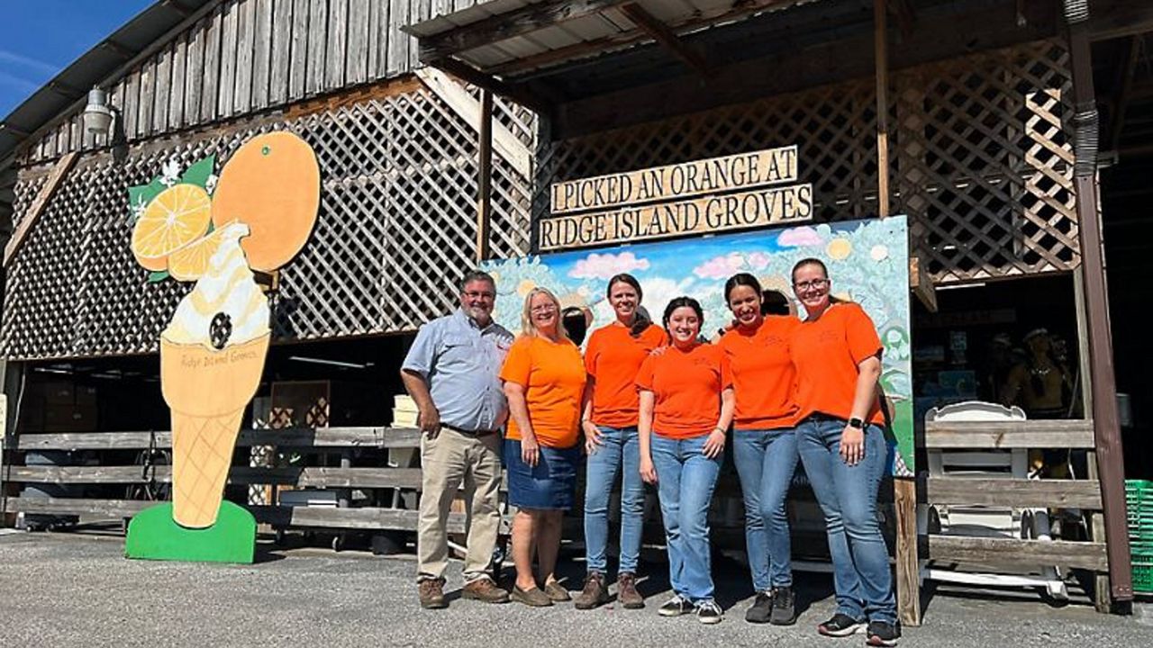 'U-pick' is back in season at Ridge Island Groves