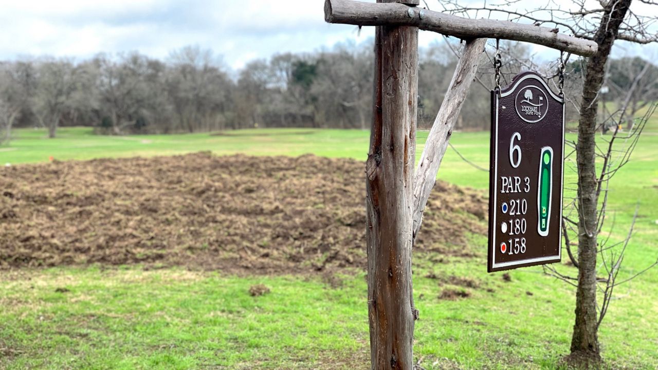 Feral Hogs Wreak Havoc on Lockhart State Park Golf Course