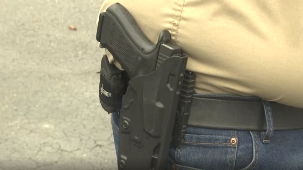 Gun Rights Activists Hold 2nd Amendment Rally in Wilmington