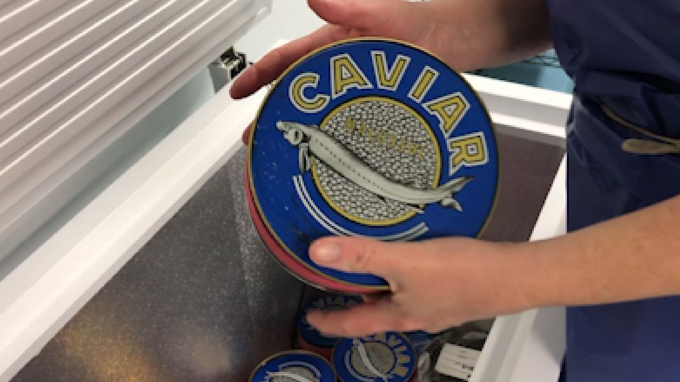 Big Fish Farms Making High-Grade Caviar in Ohio